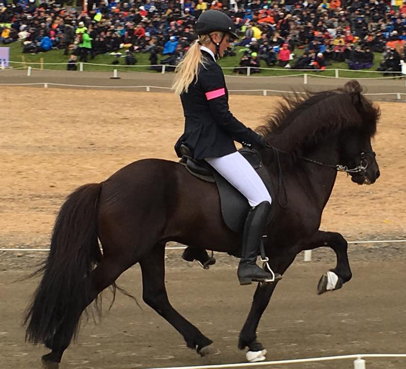 Das wichtigste Turnier des Islandpferdes: Landsmót 2016 - Der Reitsport ...