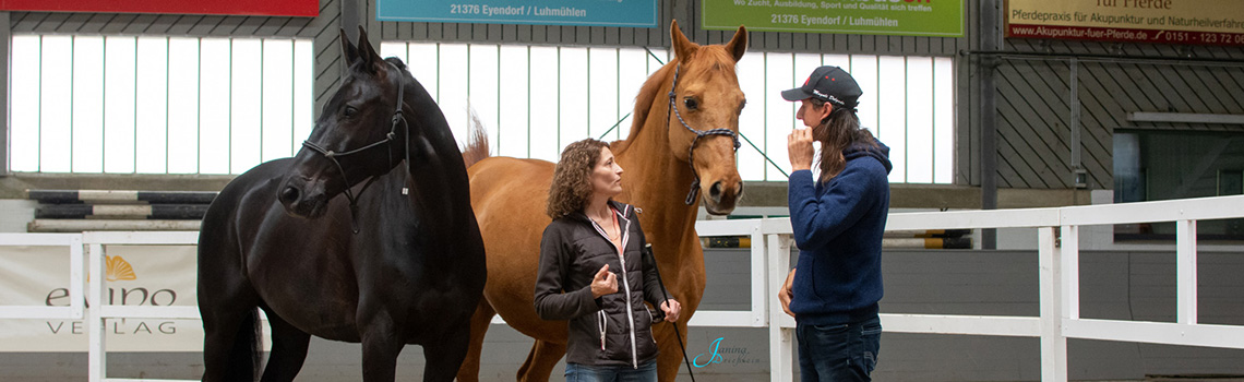 Drei Fragen an Magali Delgado und Frédéric Pignon - Der Reitsport Blog