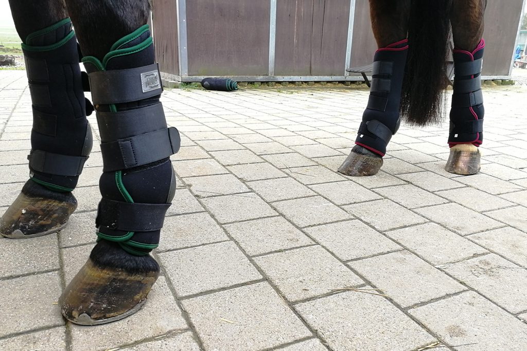 Fester Rücken, angelaufene Beine im Winter! Was tun? - Der Reitsport Blog